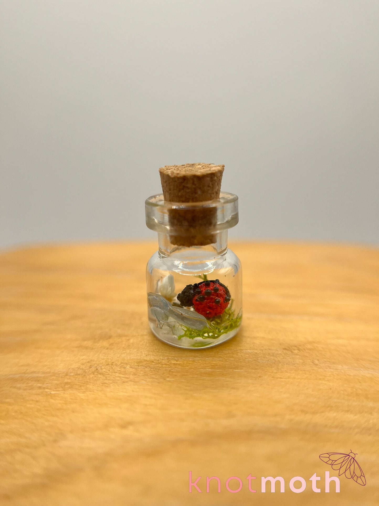 lainey ladybug trinket jar – knot moth