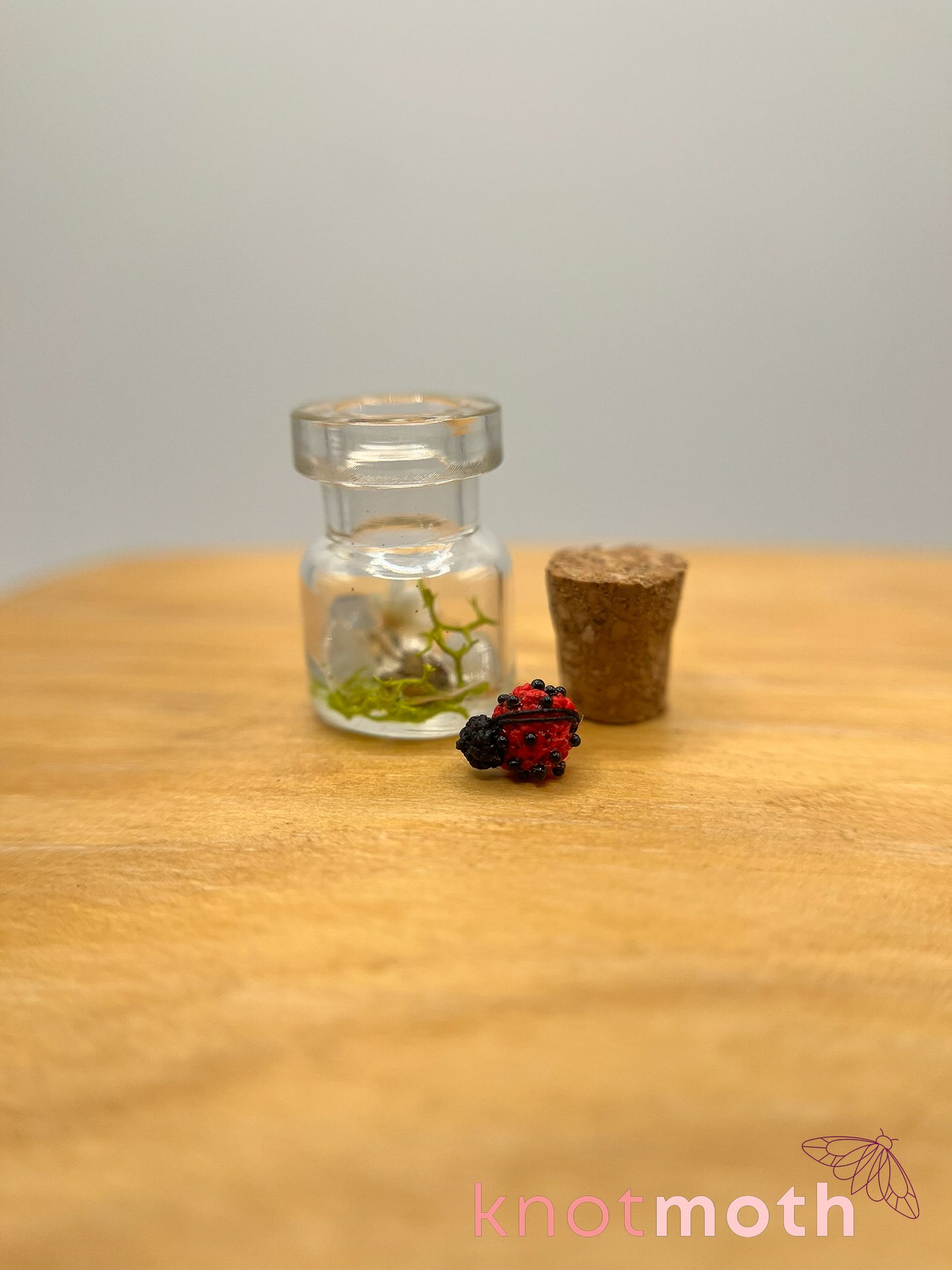 lainey ladybug trinket jar – knot moth