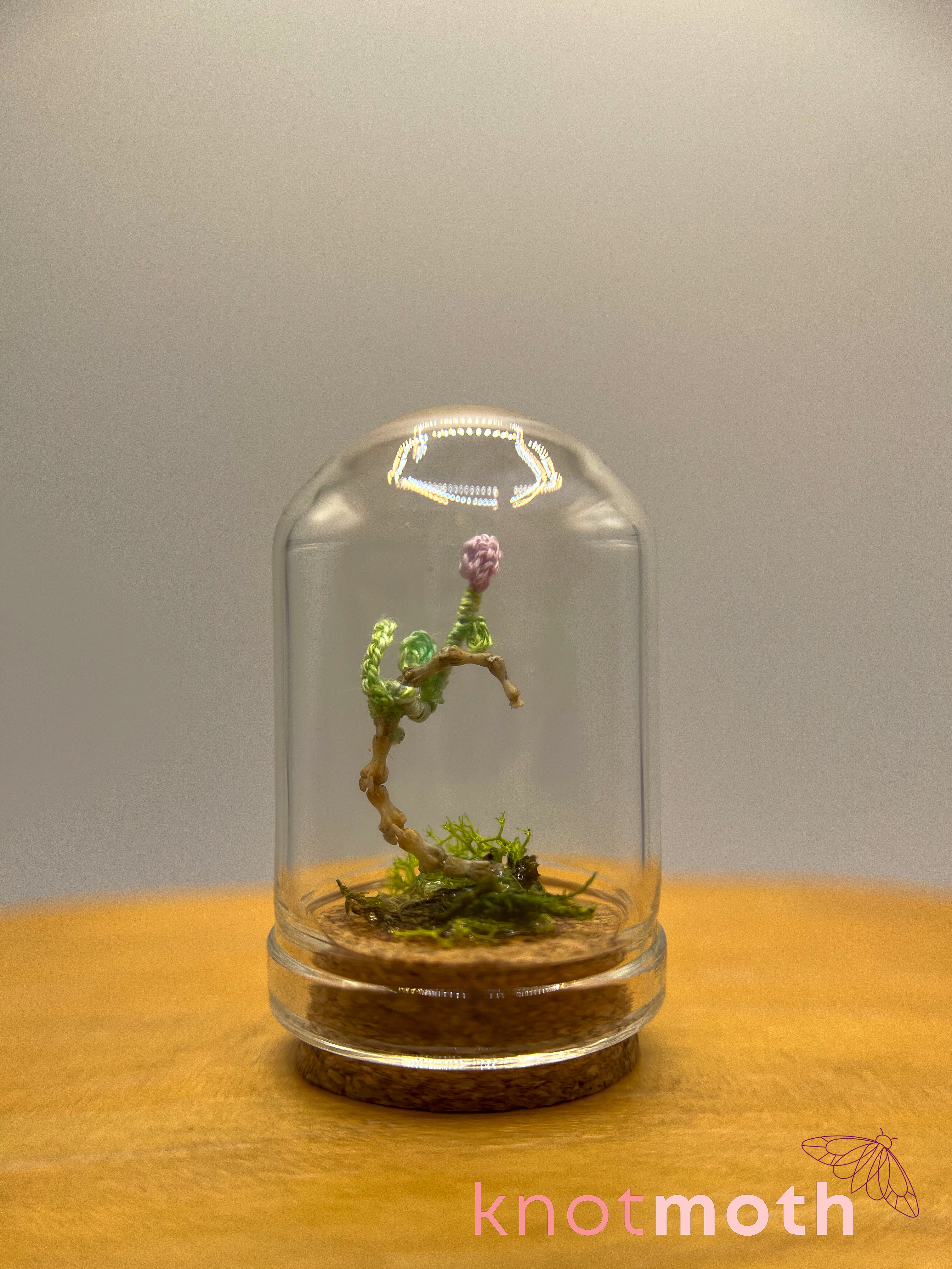 bloom & tailbone micro crochet cloche jar – knot moth