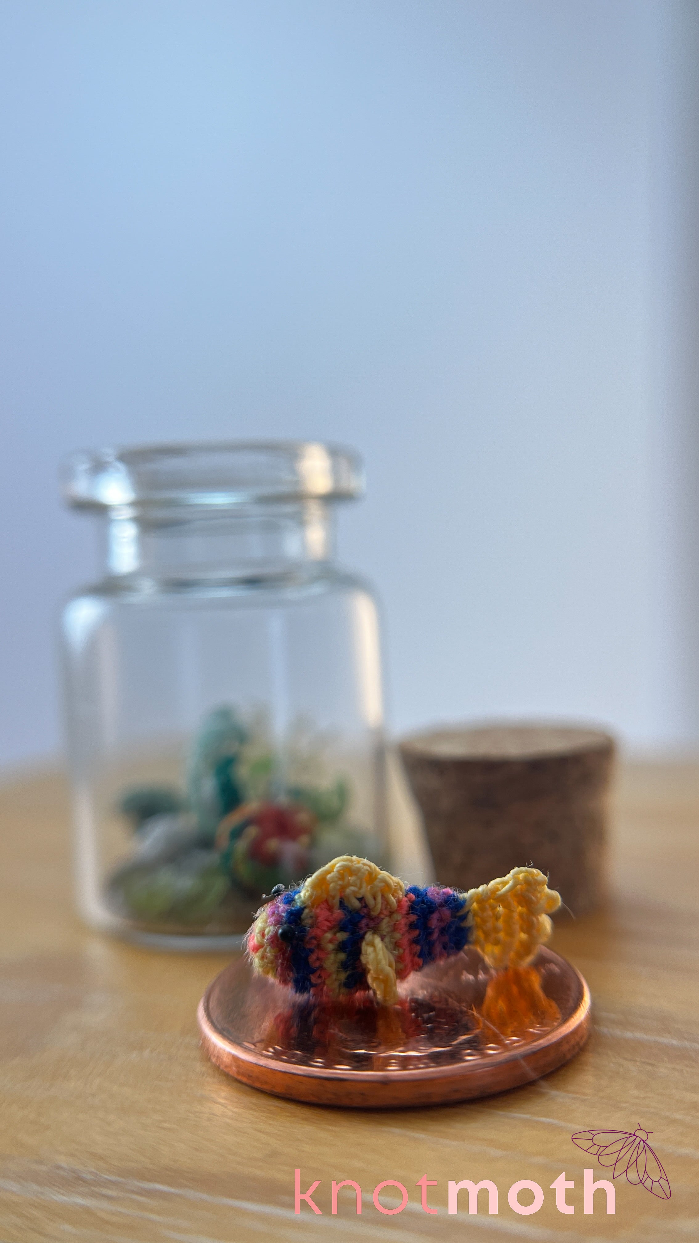 Rainbow Fish and Coral Aquarium Medium Micro Crochet Specimen Jar (Rem ...